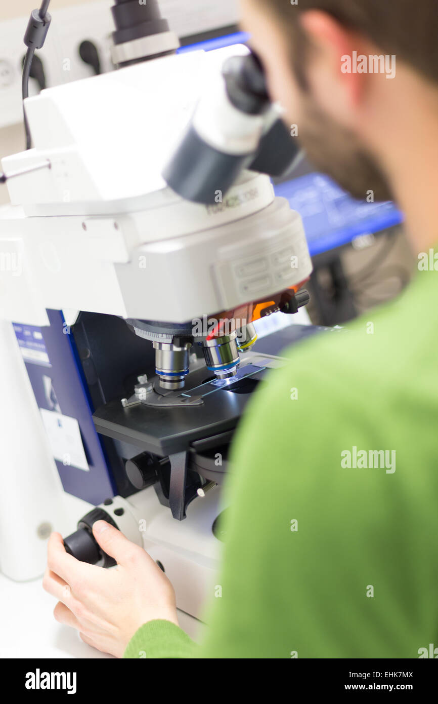 Scientist microscoping on fluorescent microscope Stock Photo - Alamy