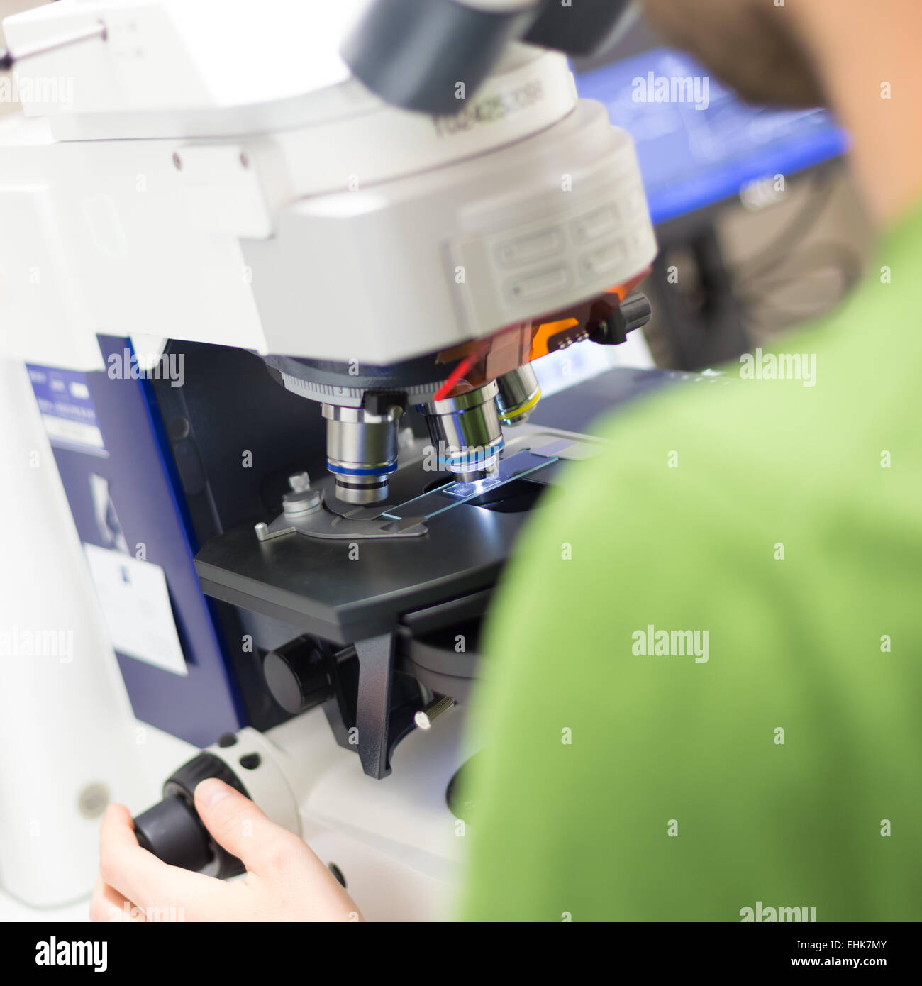 Scientist microscoping on fluorescent microscope Stock Photo - Alamy