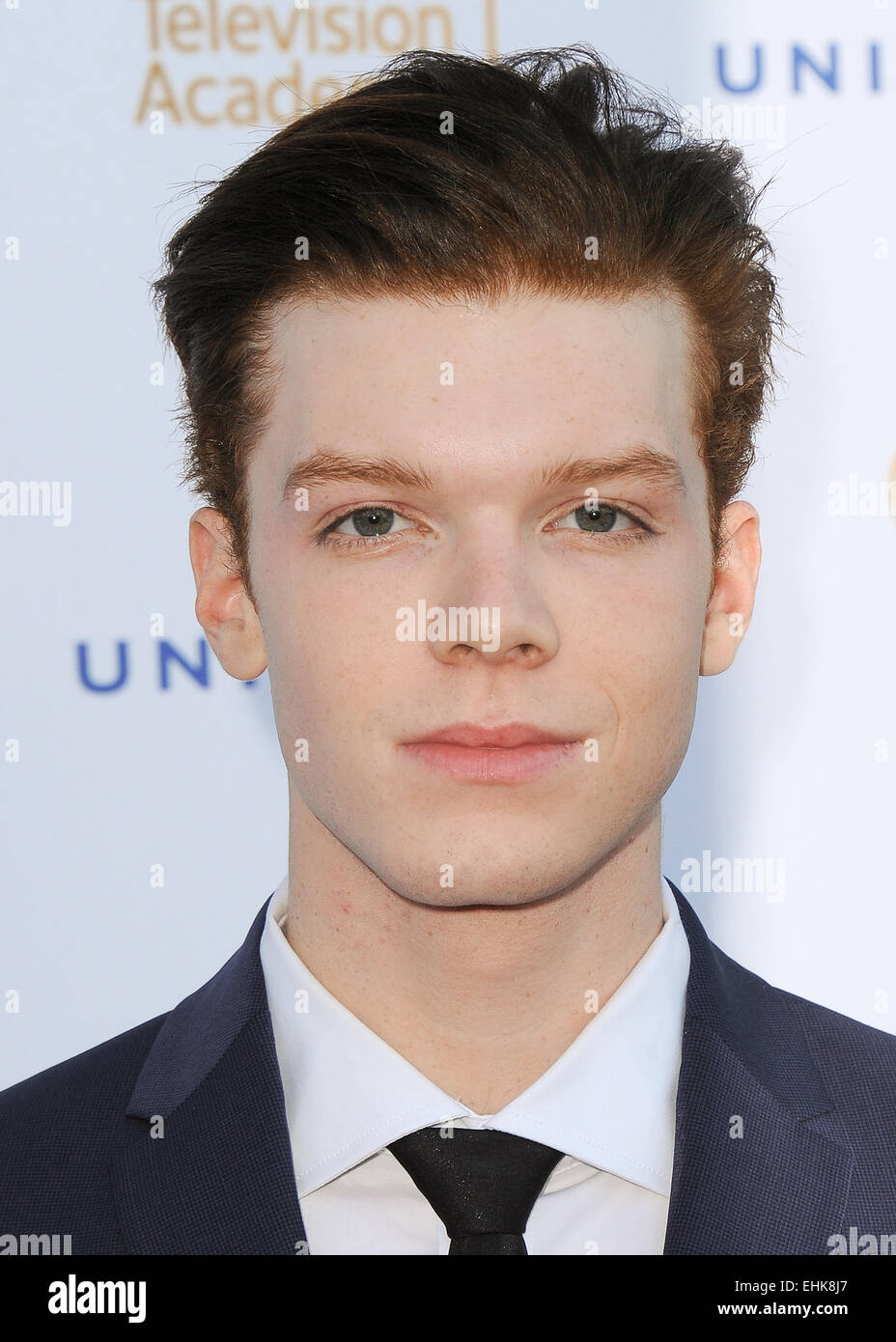 The 66th Emmy Award Performers Nominee Reception at Nokia Theatre ...