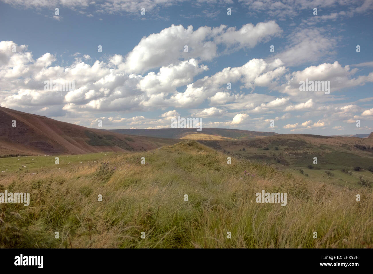 Brow ridge hi-res stock photography and images - Alamy