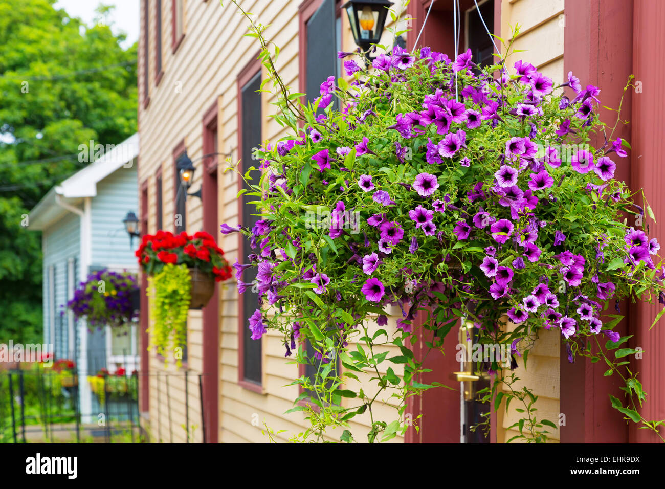 Hanging baskets hi-res stock photography and images - Alamy