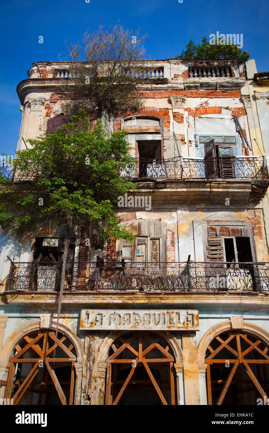 Decaying old building with tree growing out of it, Havana, Cuba Stock ...