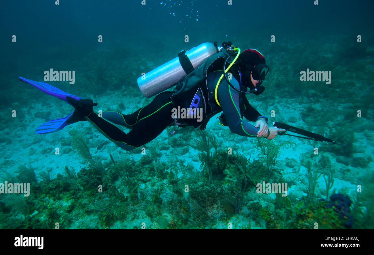 Diving speargun hi-res stock photography and images - Alamy
