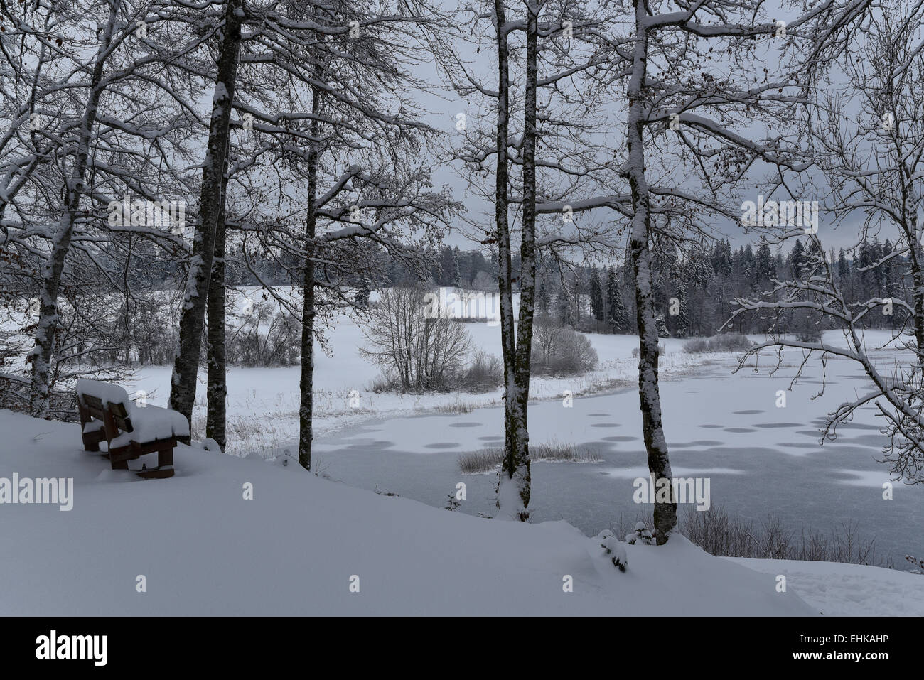 Wood bench by lake hi-res stock photography and images - Alamy