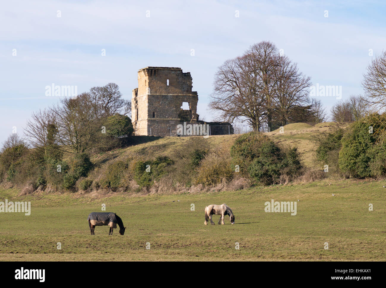 The ruins of Ayton Castle, West Ayton, near Scarborough, North ...