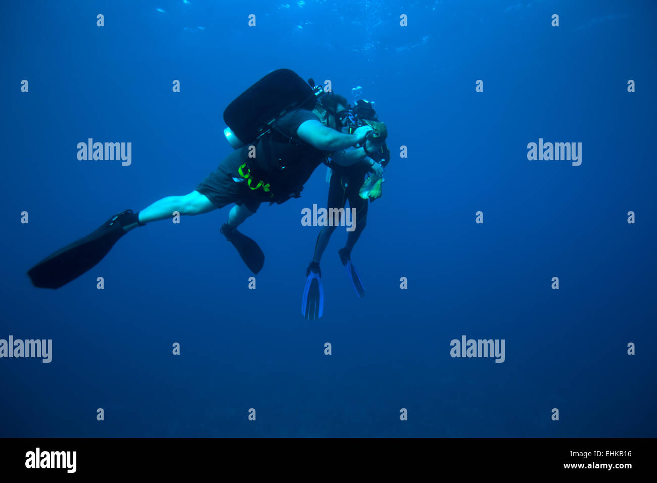 Gathering Shells High Resolution Stock Photography and Images - Alamy