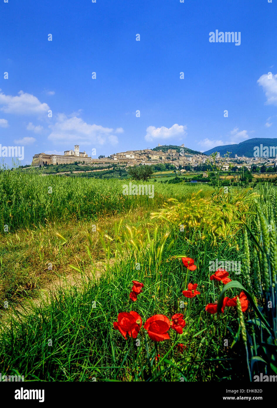 Umbria italy perugia countryside hi-res stock photography and images ...