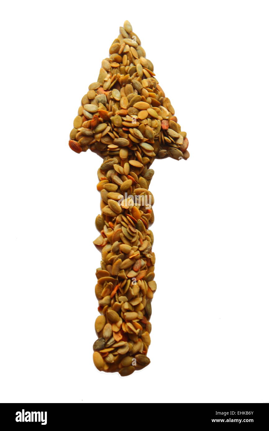 on a white background pumpkin seed laid pointer up Stock Photo - Alamy
