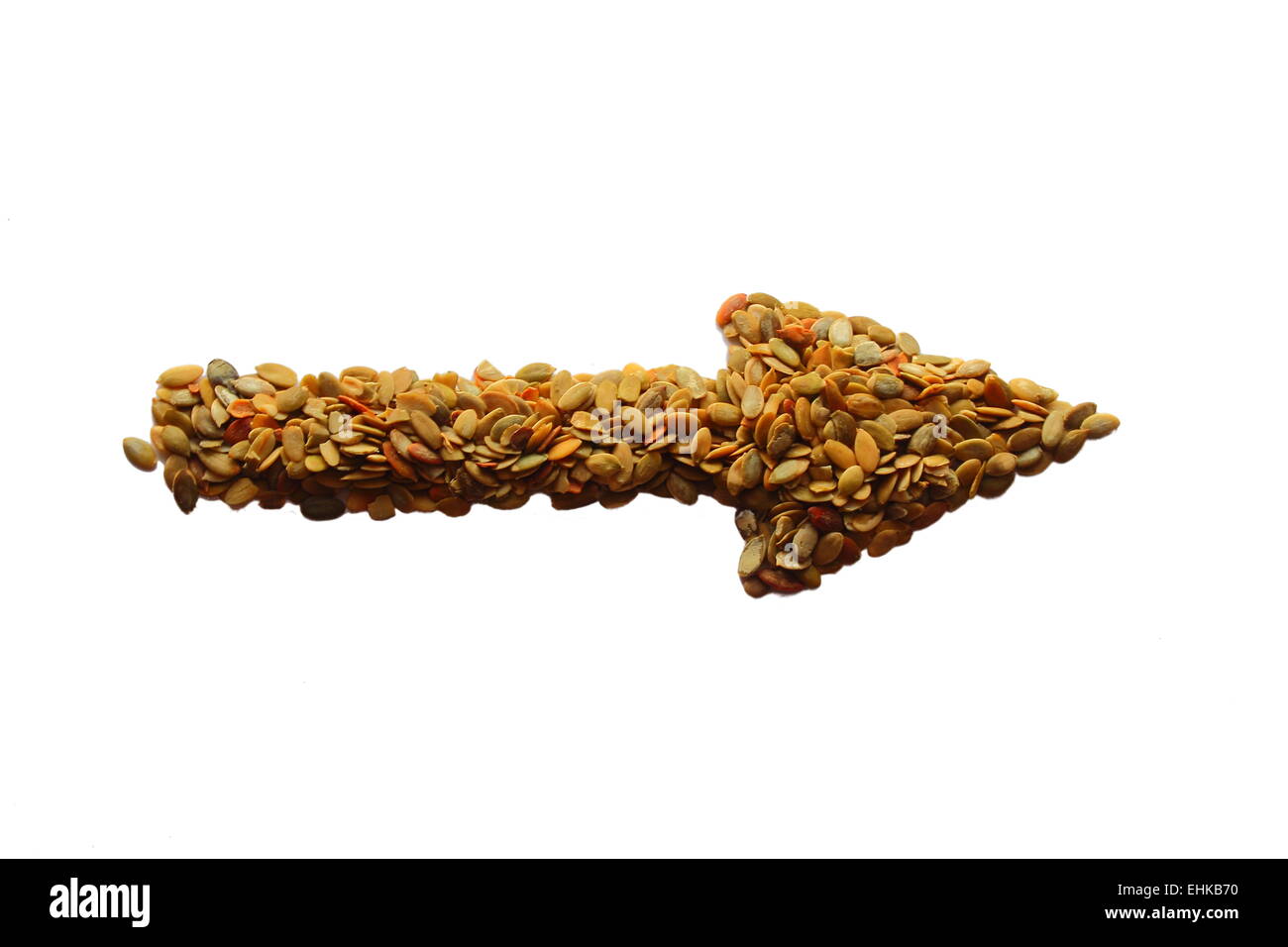 pumpkin seed laid pointer to the right on a white background Stock ...