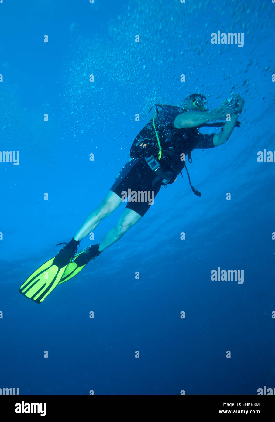 Scuba diving yellow wetsuit hi-res stock photography and images - Alamy