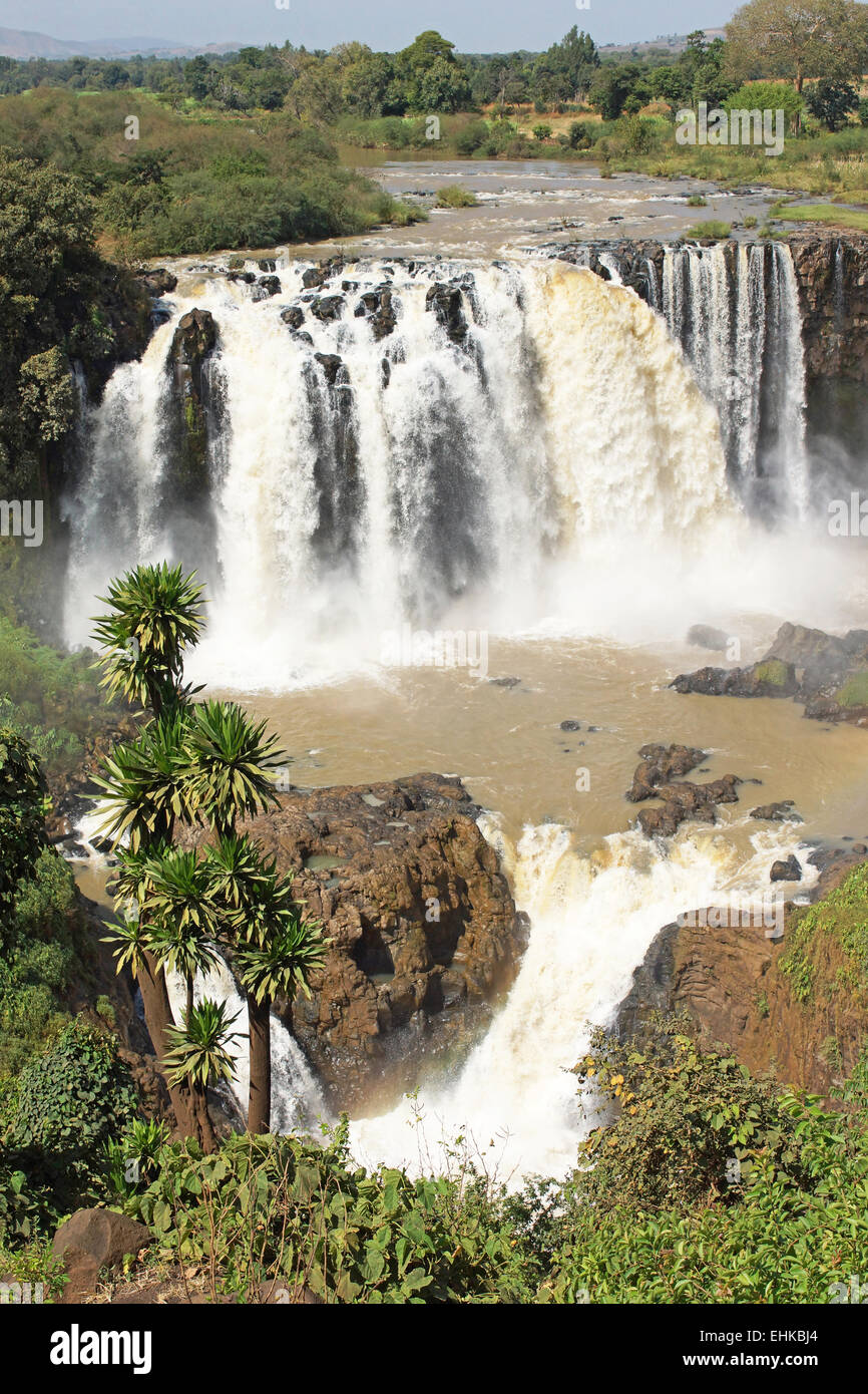 Blue Nile Falls