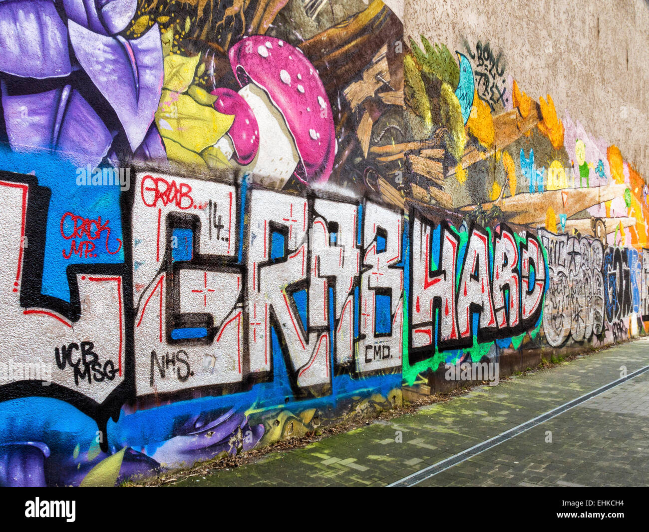 Berlin Street art and Graffiti, colourful floral urban mural art ...