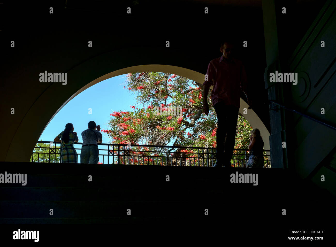 Under the Sydney Harbour Bridge Stock Photo - Alamy