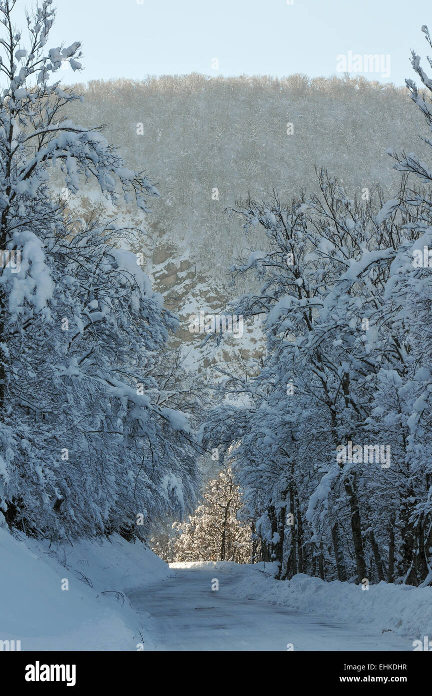 road in the snowy countryside Stock Photo - Alamy