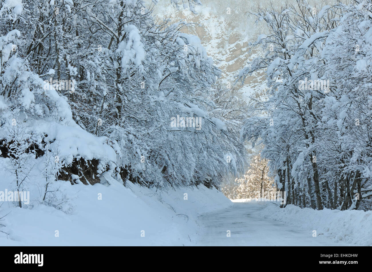 road in the snowy countryside Stock Photo - Alamy
