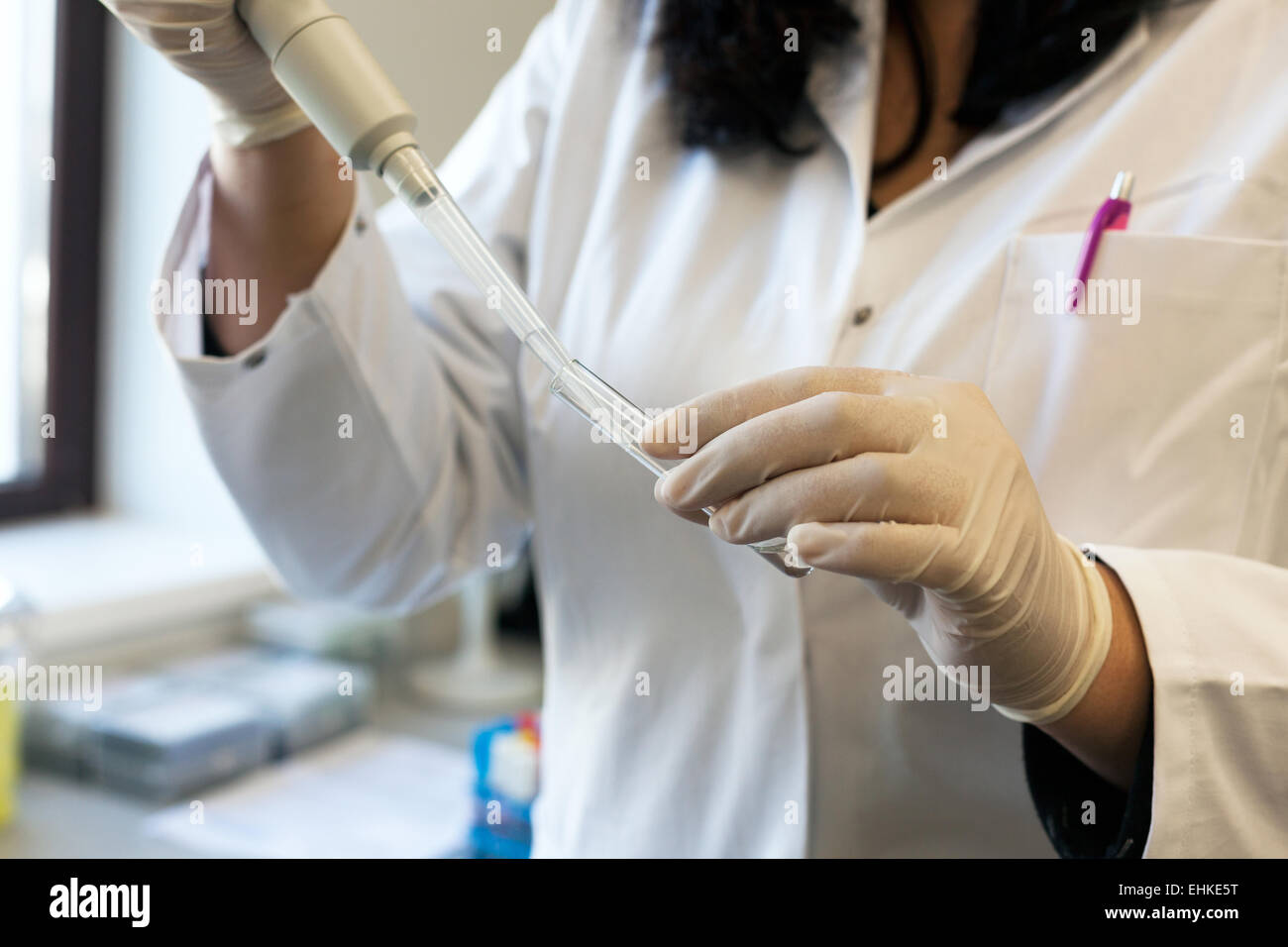 closeup of a female scientist filling test tube with pipette in lab ...
