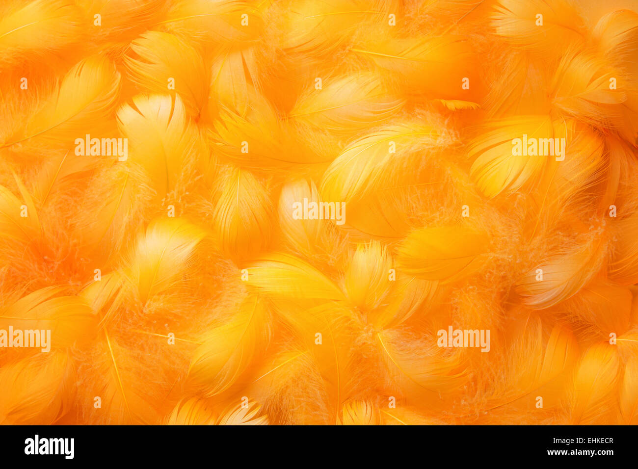 Soft and gentle theme - colored feathers background Stock Photo - Alamy