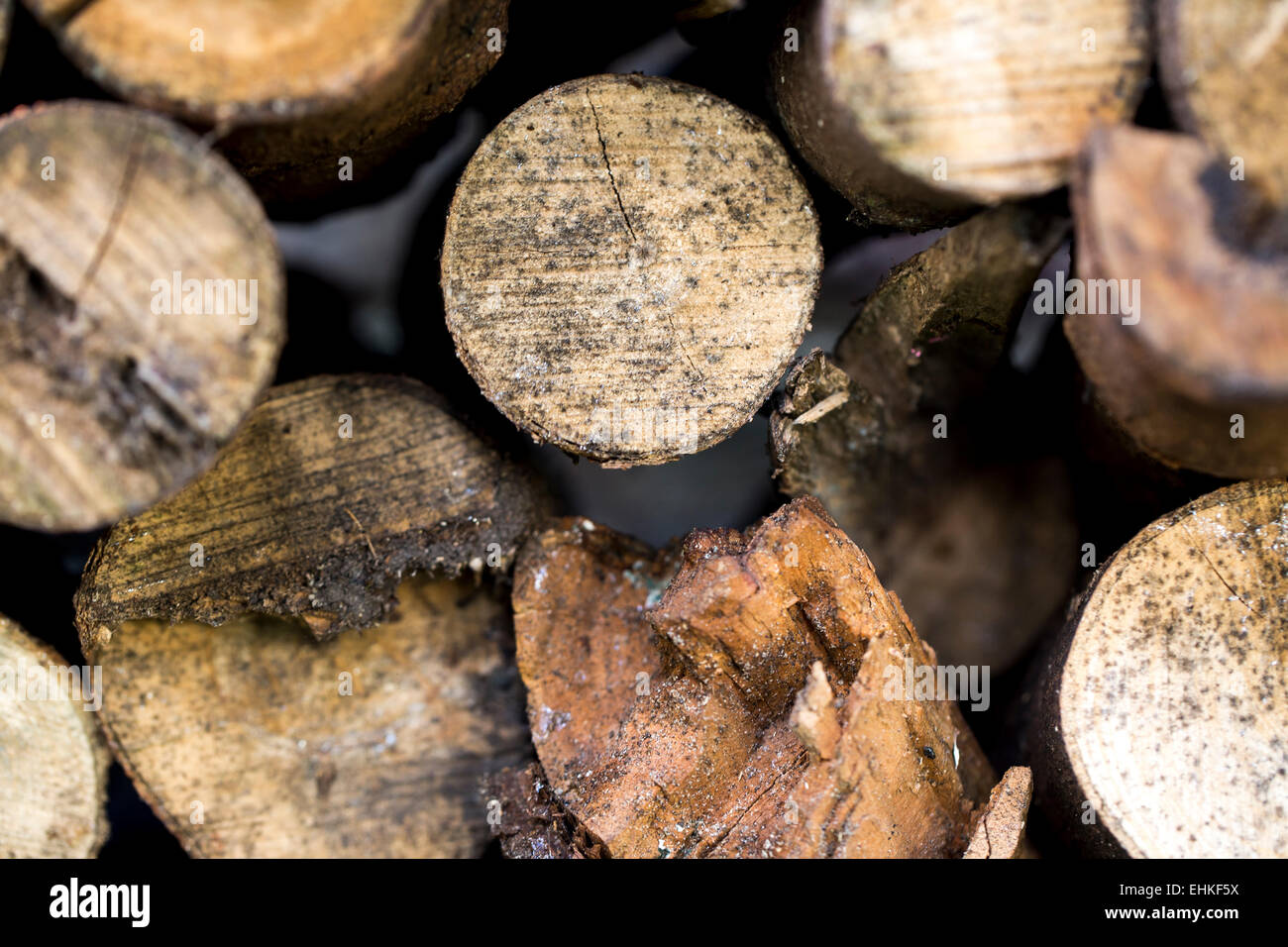 Close up of wood logs Stock Photo - Alamy