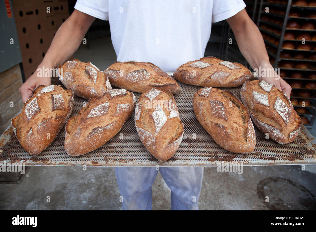 Tray Baker Loaves Bread High Resolution Stock Photography and Images ...