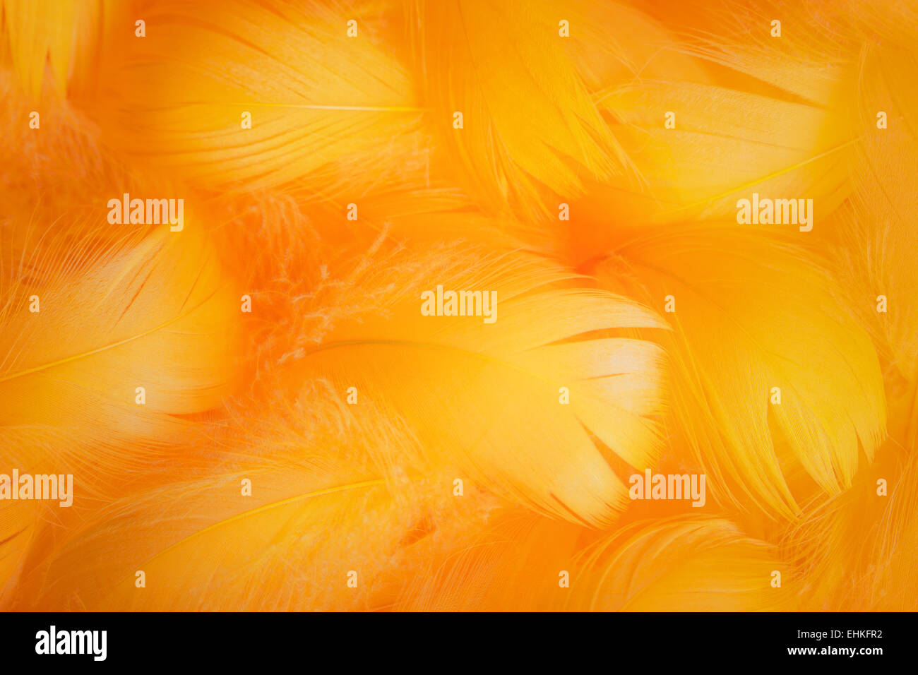 Soft and gentle theme - colored feathers background Stock Photo - Alamy