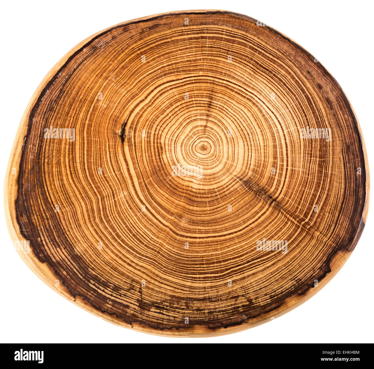 Wood circle texture slice background Stock Photo - Alamy