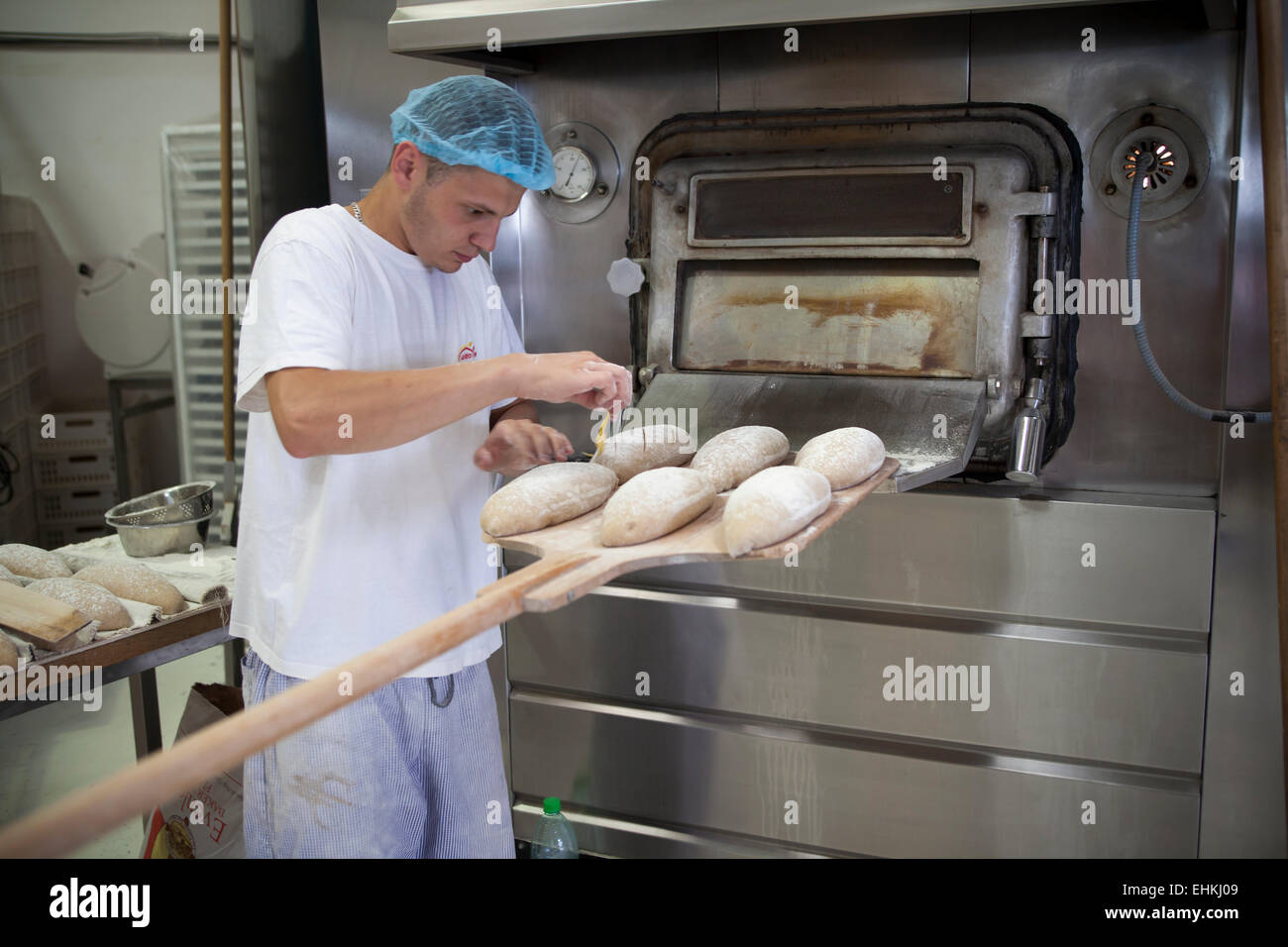 Baker preparing loaves of bread on paddle before placing in the oven ...