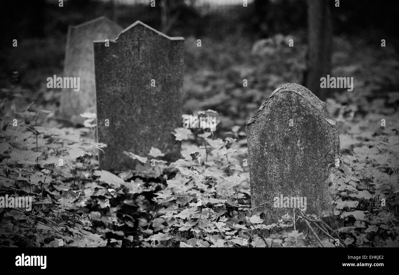 An old gravestone in the cemetery Stock Photo - Alamy
