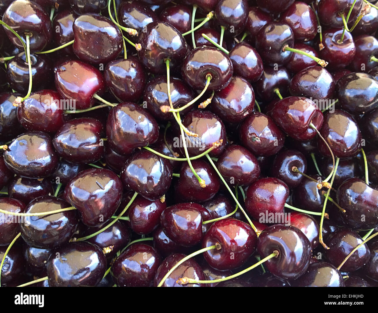 First choice dark red shiny ripe cherries at the market stall Stock ...