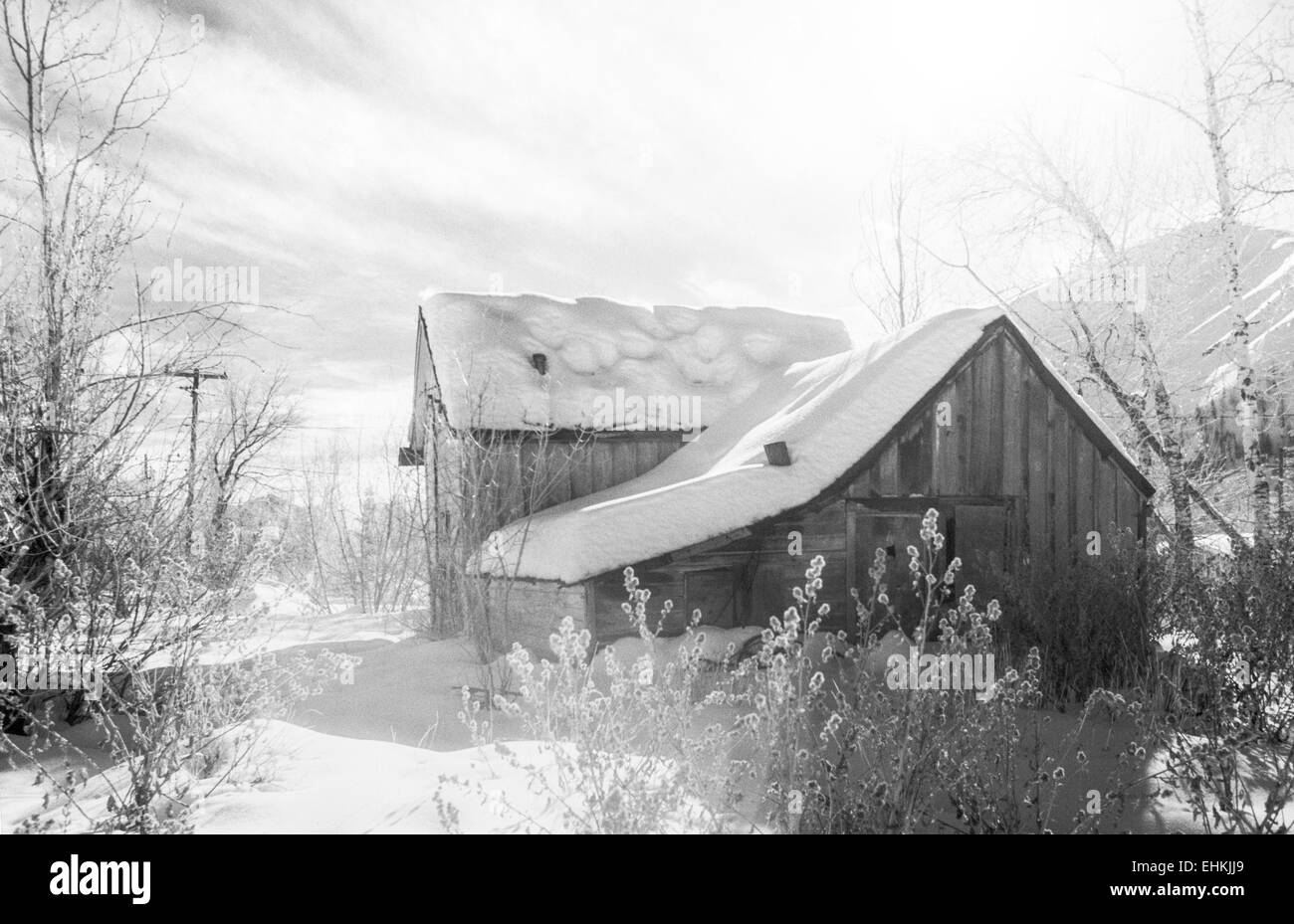 HAILEY, IDAHO - January 15: Hailey, Idaho on January 15, 1998 Stock ...