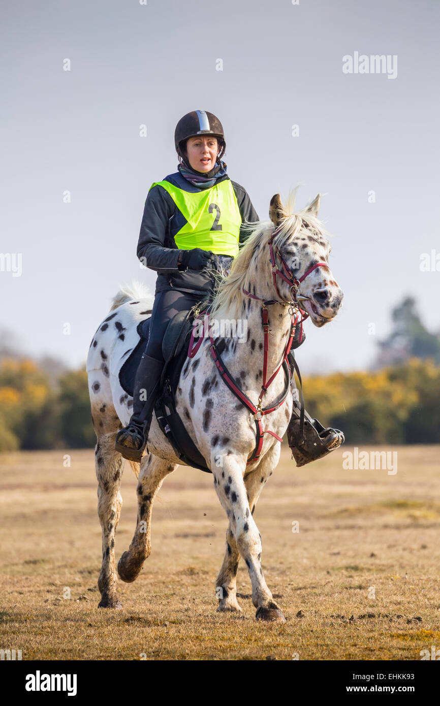Horse riding hi vis vest hi-res stock photography and images - Alamy