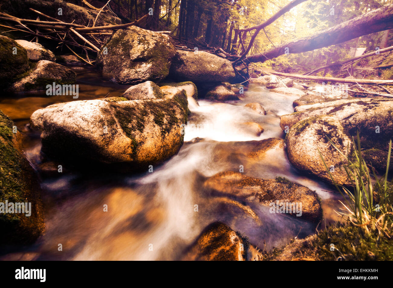 vintage photo of river in forest Stock Photo - Alamy