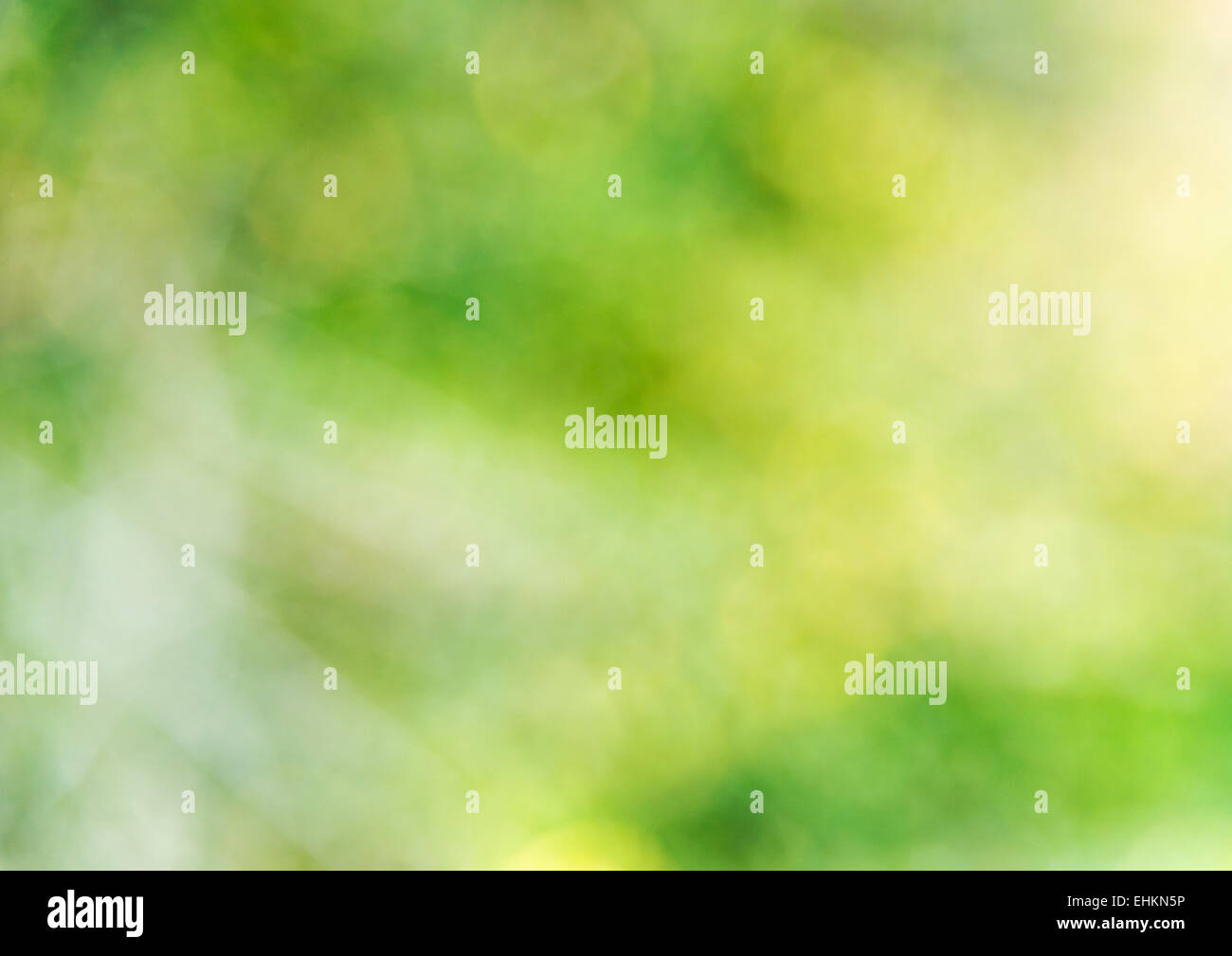 Blur background of the fresh tree in the garden Stock Photo - Alamy