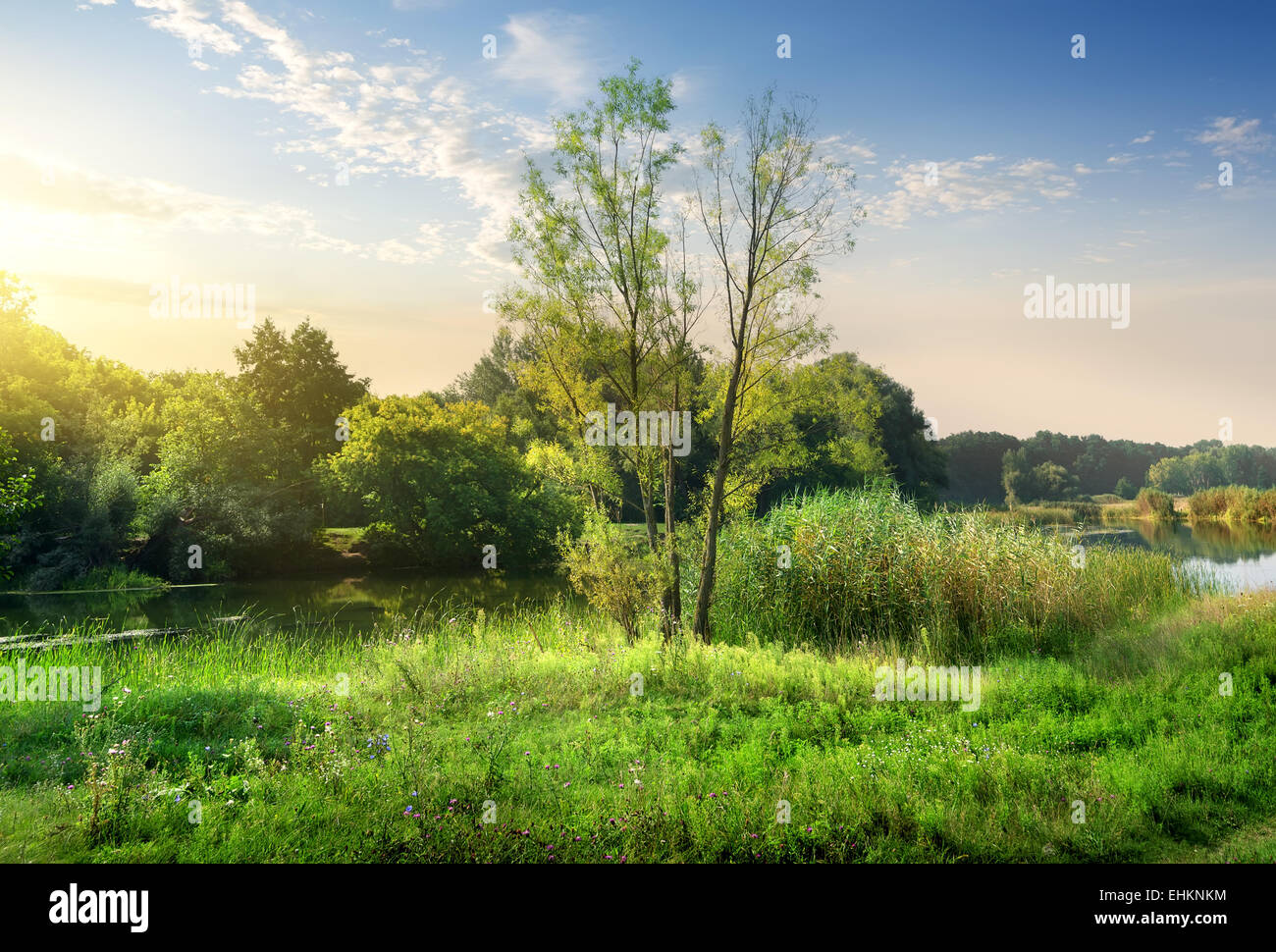 Calm meadow hi-res stock photography and images - Alamy