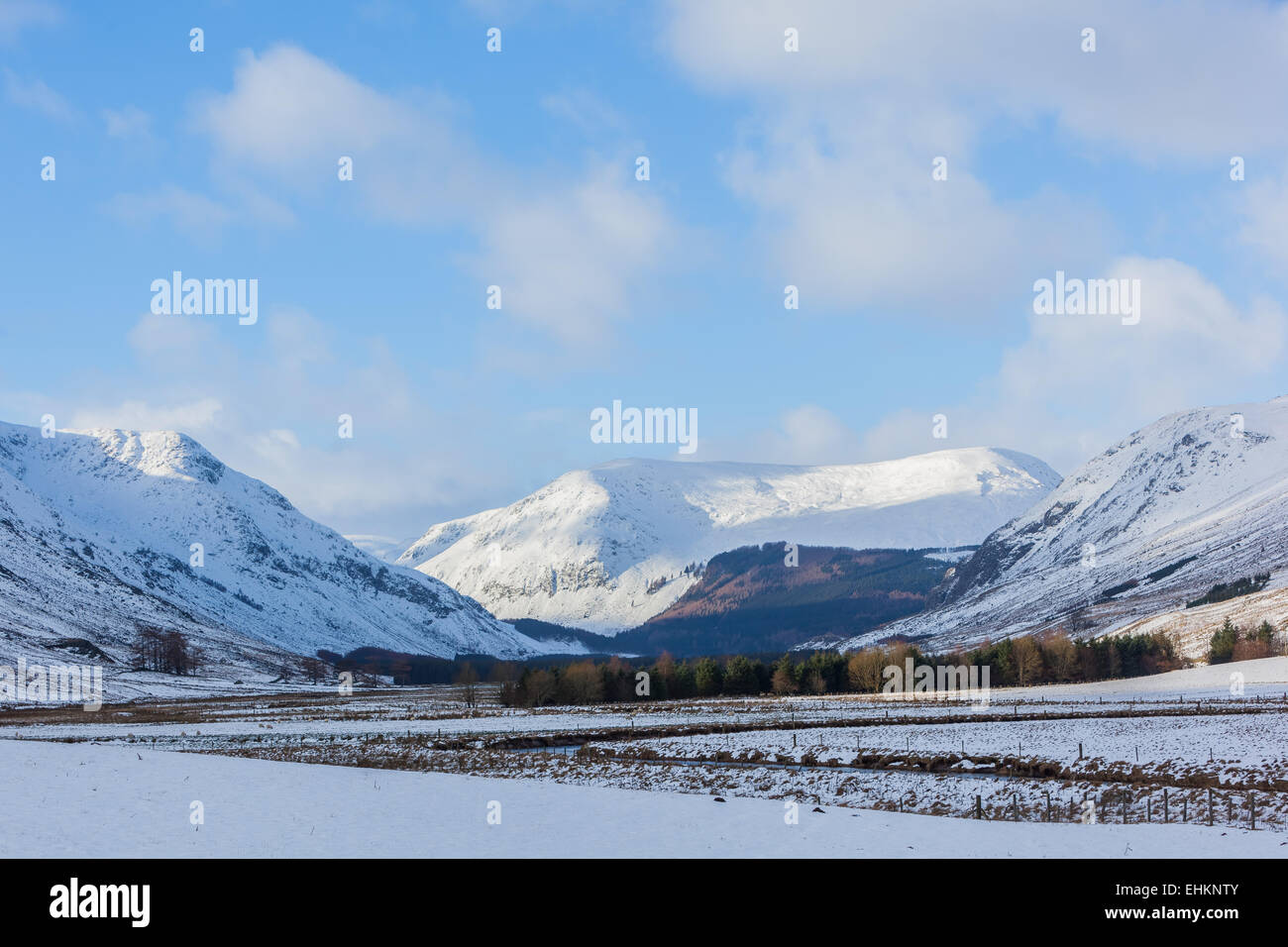 Angus glen scotland hi-res stock photography and images - Alamy