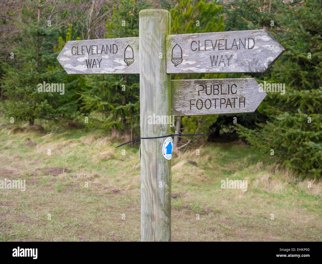 Cleveland Way long distance footpath signpost at Carlton pointing East ...