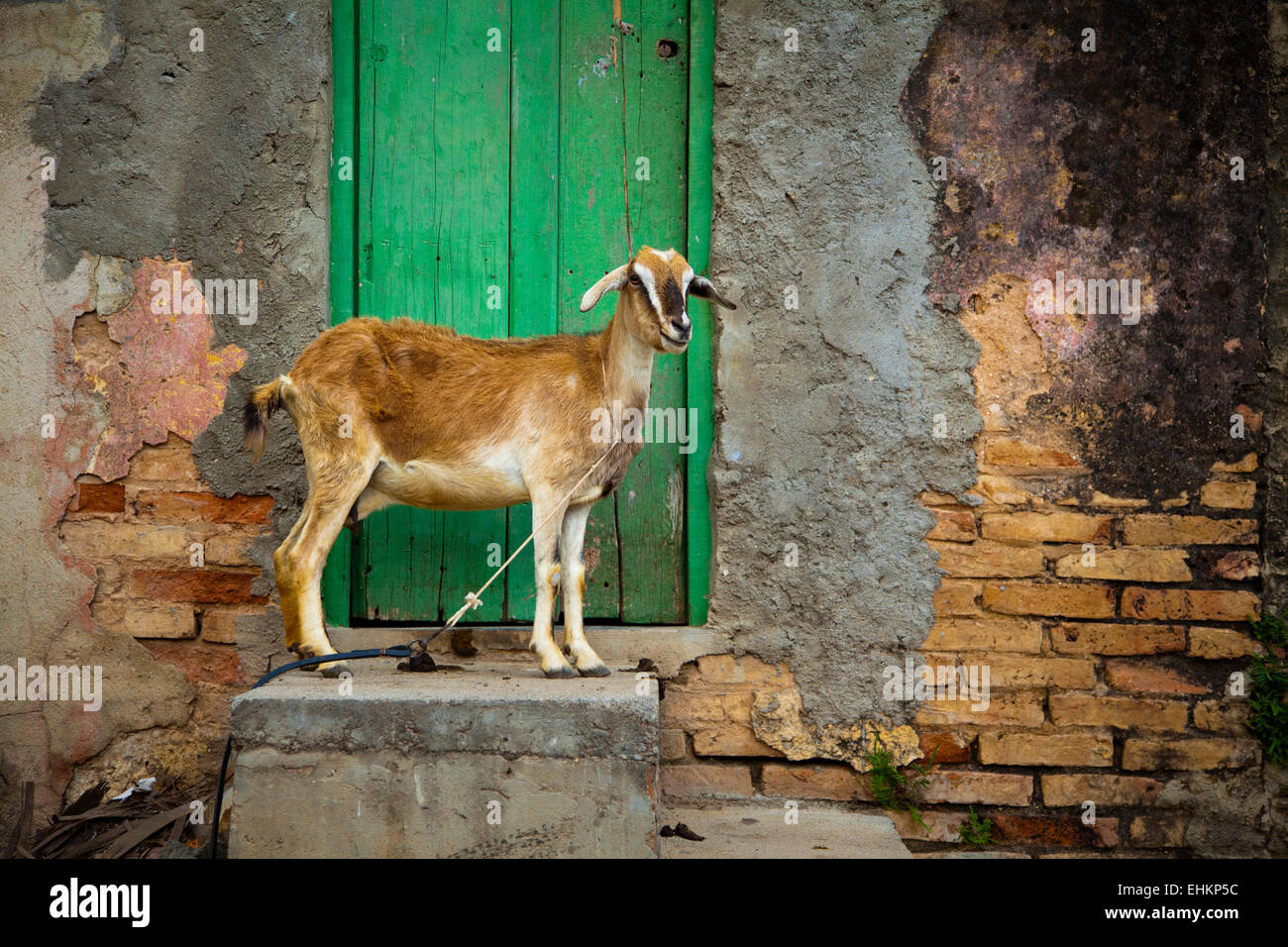 Cuban slum hi-res stock photography and images - Alamy