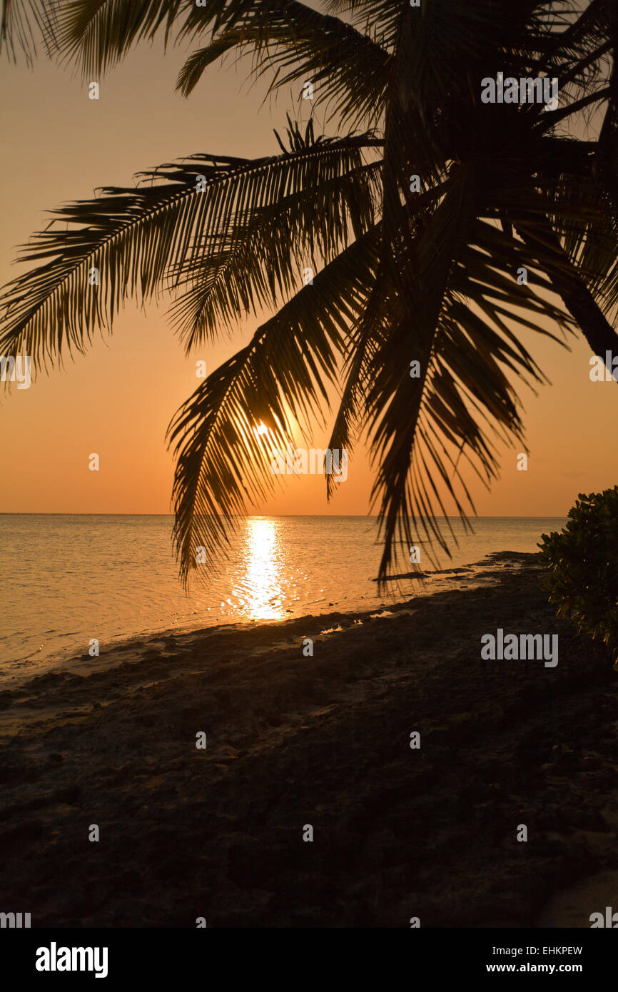 Tropical Hot Sunset, Ari-Atoll. Maldives Stock Photo - Alamy