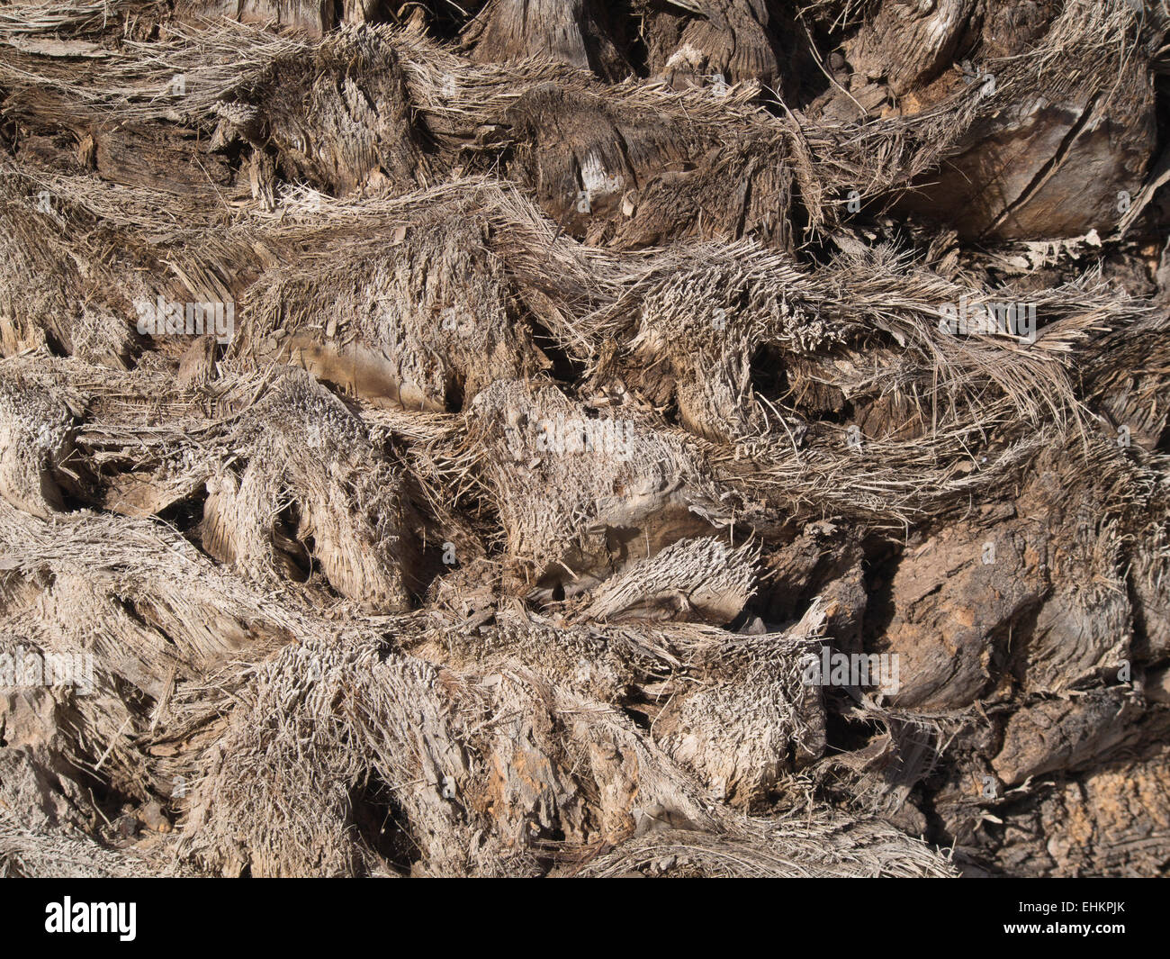 Tree cut off hi-res stock photography and images - Alamy