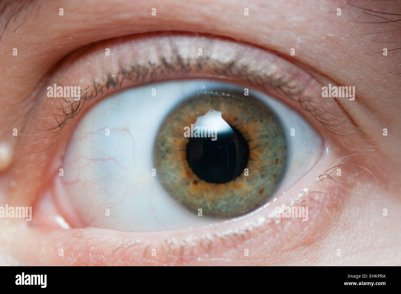 Abstract Human Eye High Resolution Stock Photography and Images - Alamy