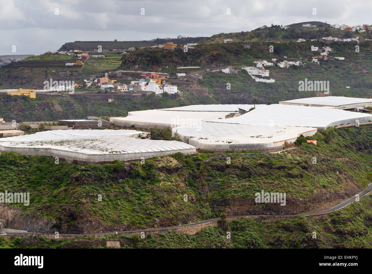 Fruit plantation hi-res stock photography and images - Alamy