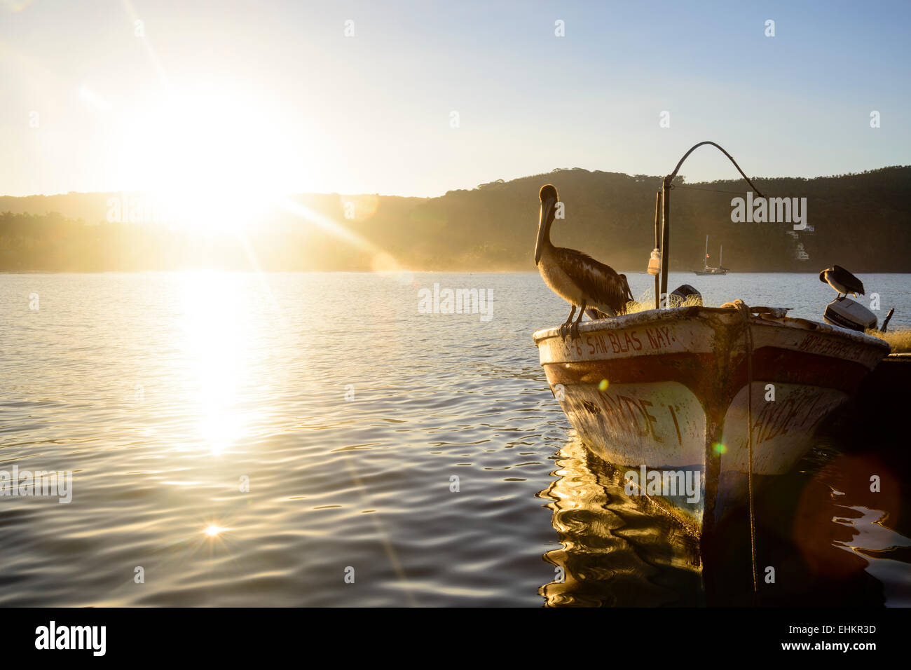 Pelican and another bird perching on a small boat at sunrise in Chacala ...