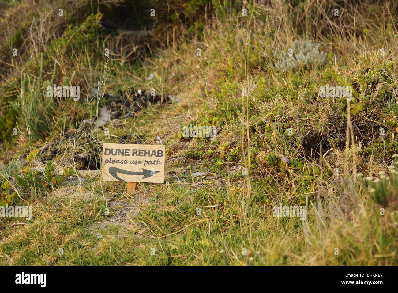 Conservation sign on beach dunes in Rooi Els Stock Photo - Alamy