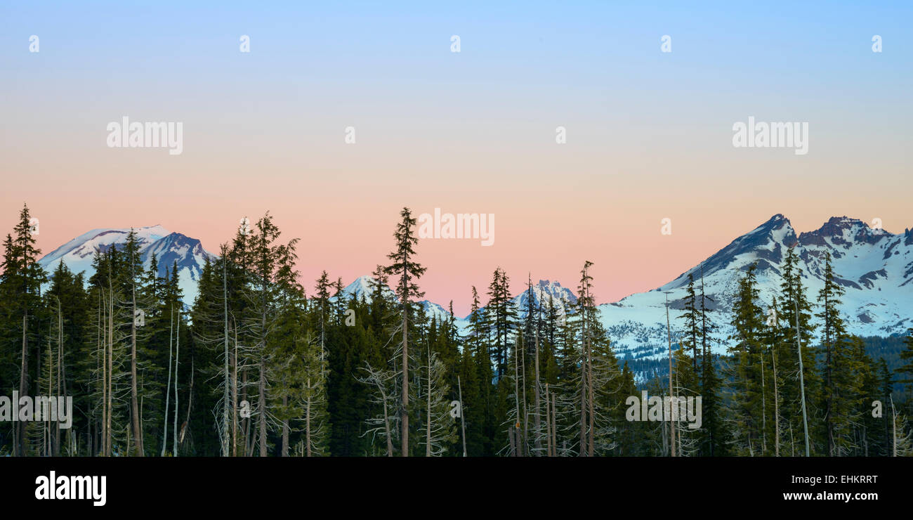 Forest and mountains, with a colorful sky behind, Bend, Oregon Stock ...