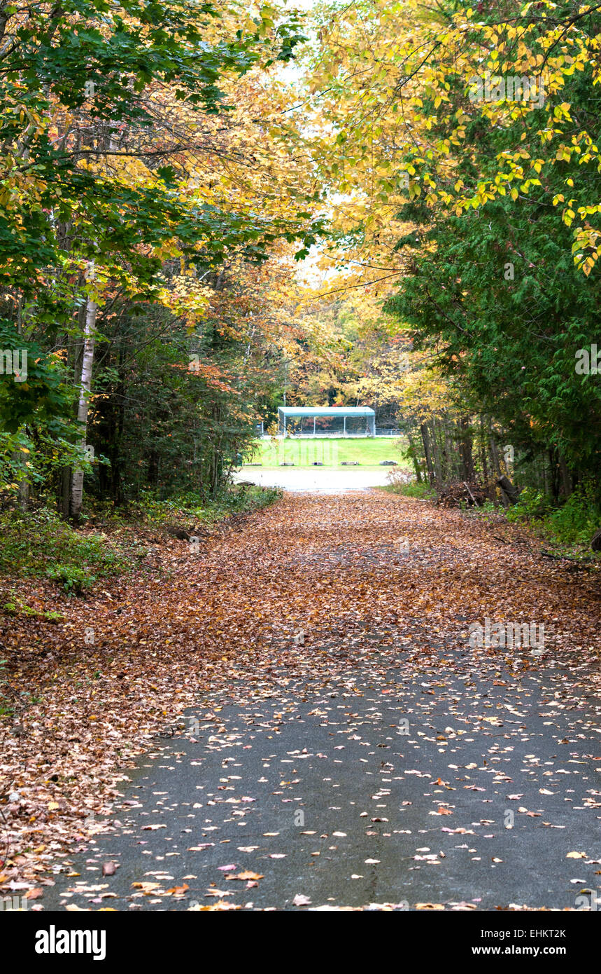 Fall leaves covering path hi-res stock photography and images - Alamy