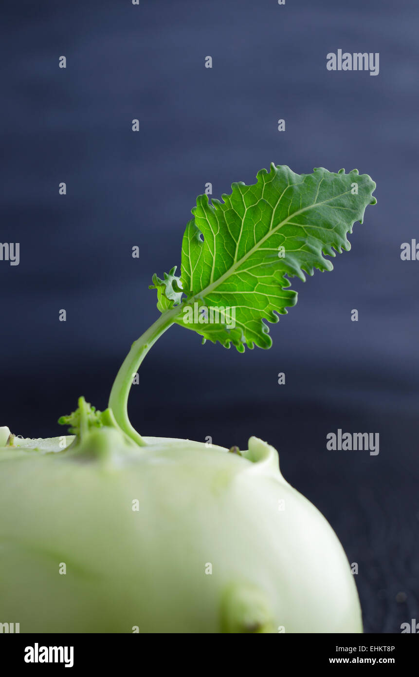 Leaf of kohlrabi or french turnip over dark background Stock Photo - Alamy