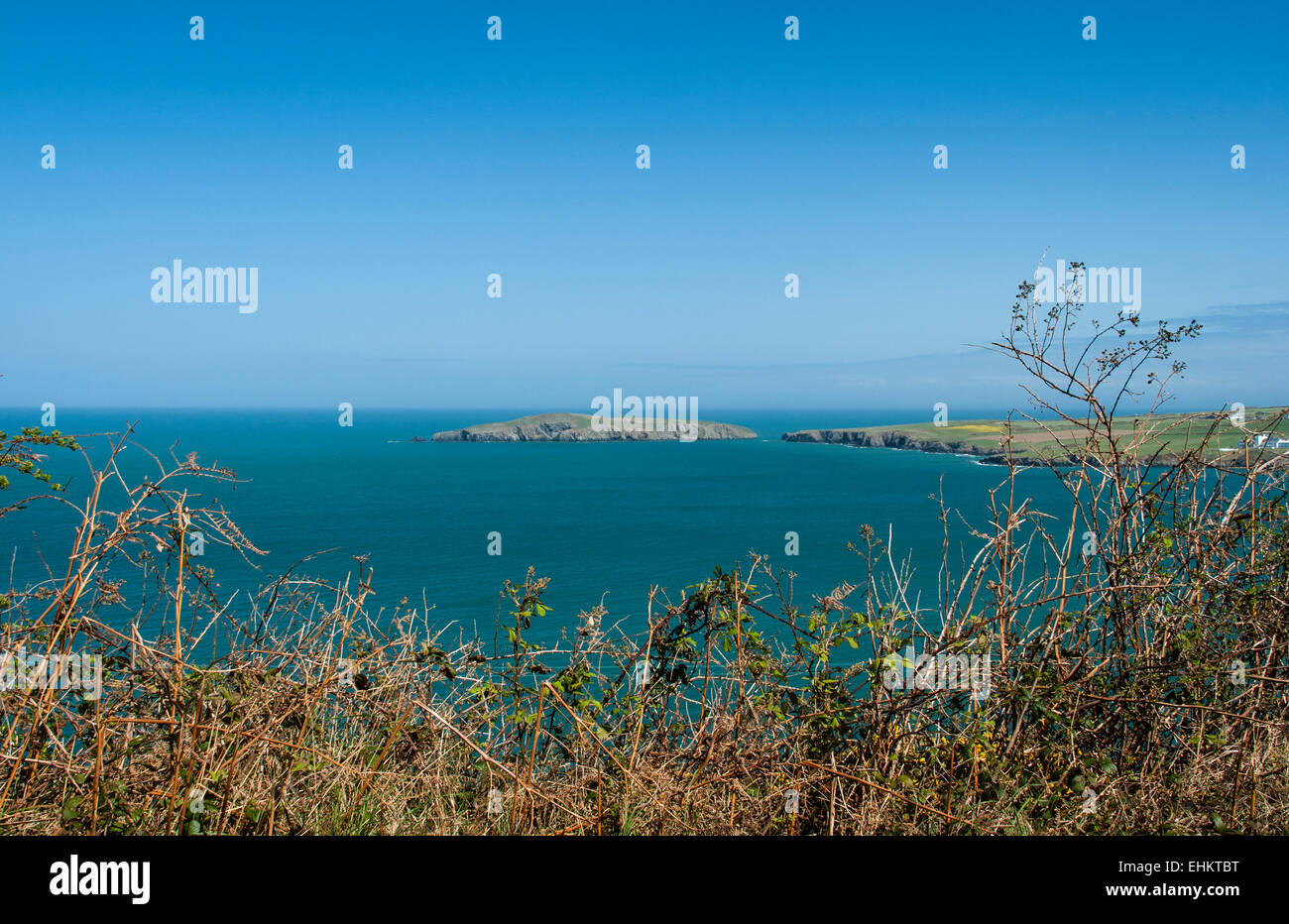 Newport Bay and Cardigan Island Stock Photo - Alamy