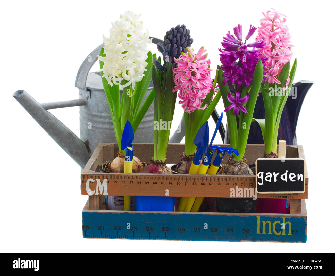 Watering flowers cans Cut Out Stock Images & Pictures - Alamy