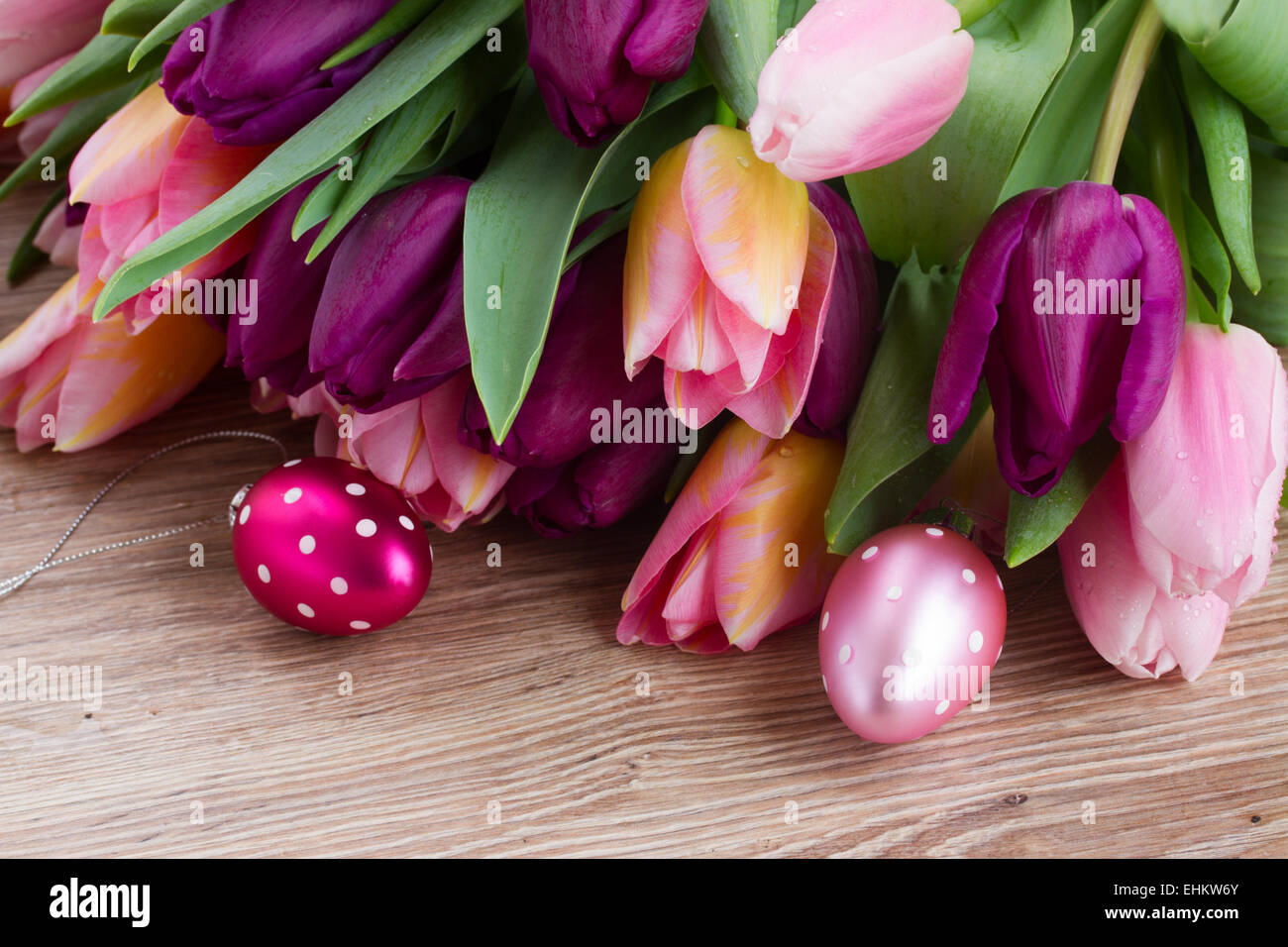 pink and violet tulips with easter eggs Stock Photo - Alamy