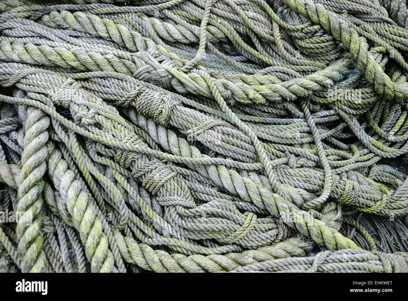 rope piled up on a boat Stock Photo - Alamy