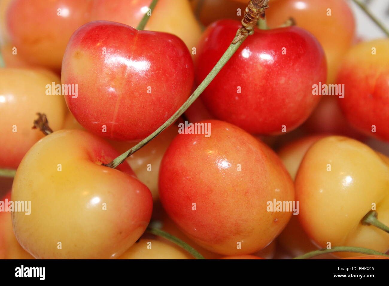 closeup of red and yellow rainier cherries Stock Photo - Alamy